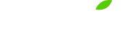 Codju